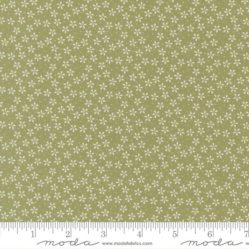 PRESALE Pastel Prairie Colander Grass Yardage by My Sew Quilty Life fo ...